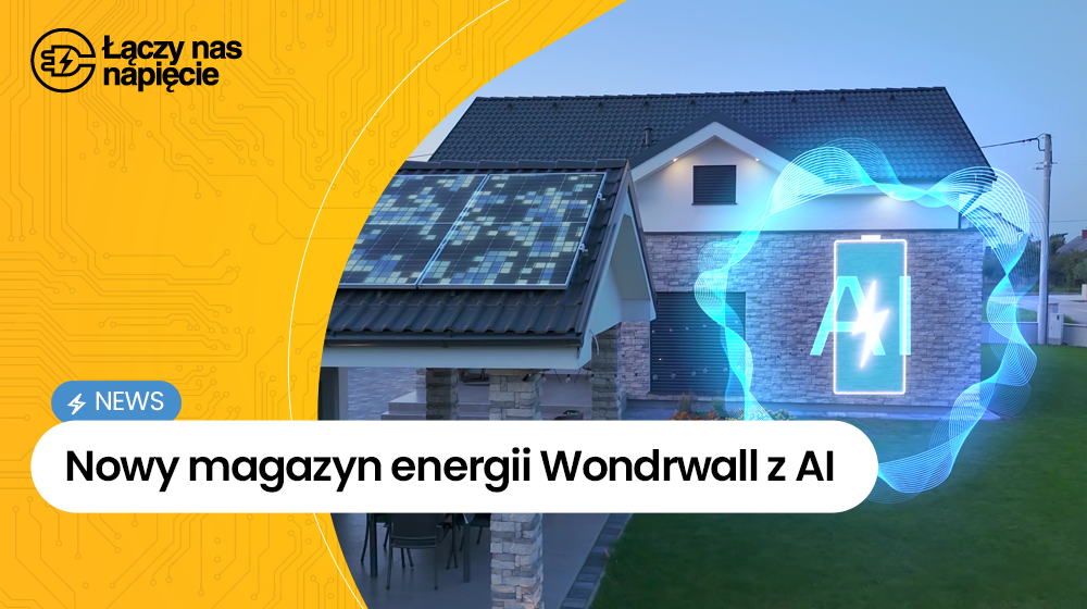 Magazyn energii ze sztuczną inteligencją. Wondrwall stawia na AI dla ...
